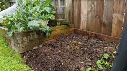 Mastering Bokashi Composting: Step By Step Instructional Guide