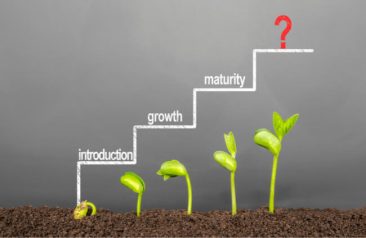 Understanding Plant Growth Stages From Seed to Harvest