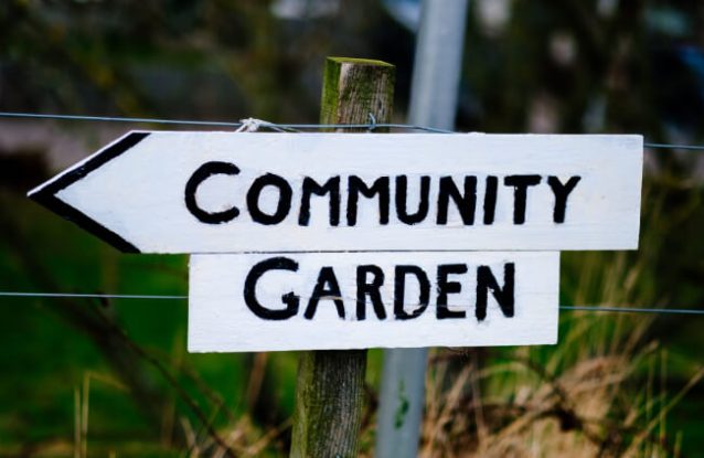 Community Garden: Ultimate Beginners' Guide - Sumo Gardener