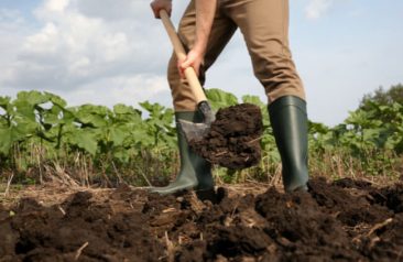 Different Types of Digging Techniques and Their Benefits